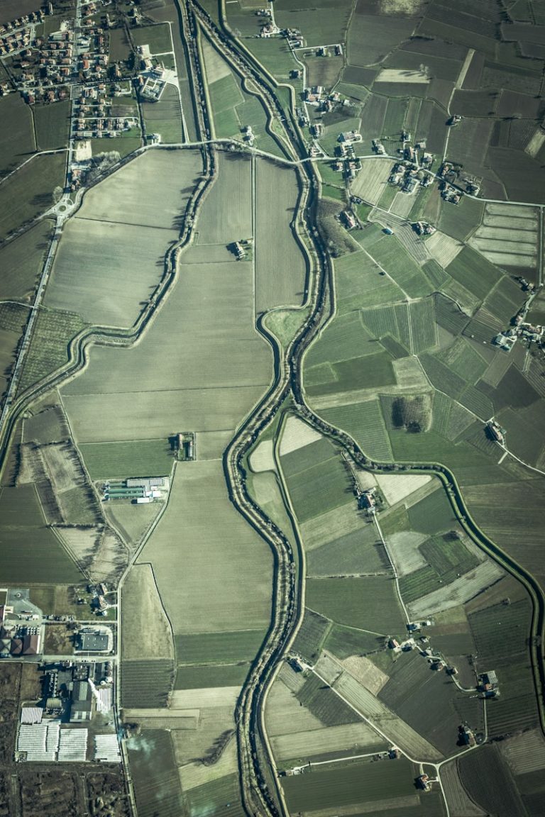 Rugby Borough Local Plan –Preferred Option Consultation 24 March 2025 ...